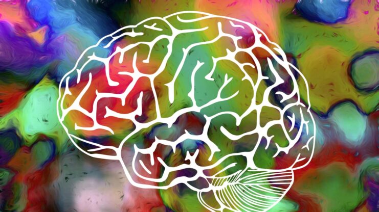 What is LSD? Understanding its effects and its dangers - Fiesta SA